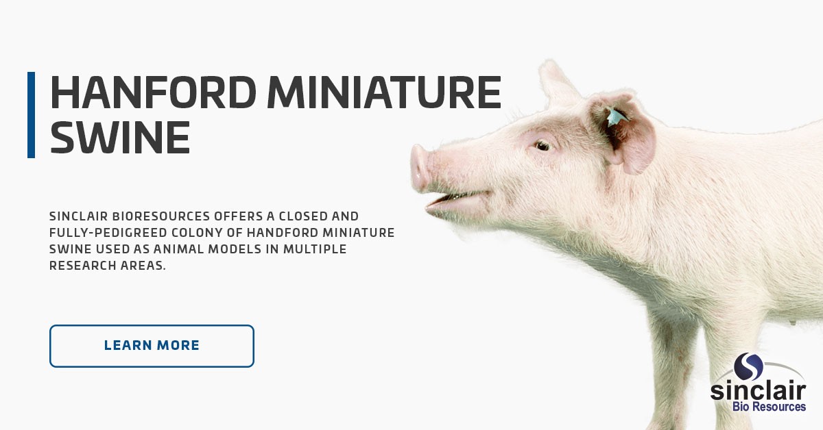 Hanford Miniature Swine ⋆ Sinclair Bio Resources